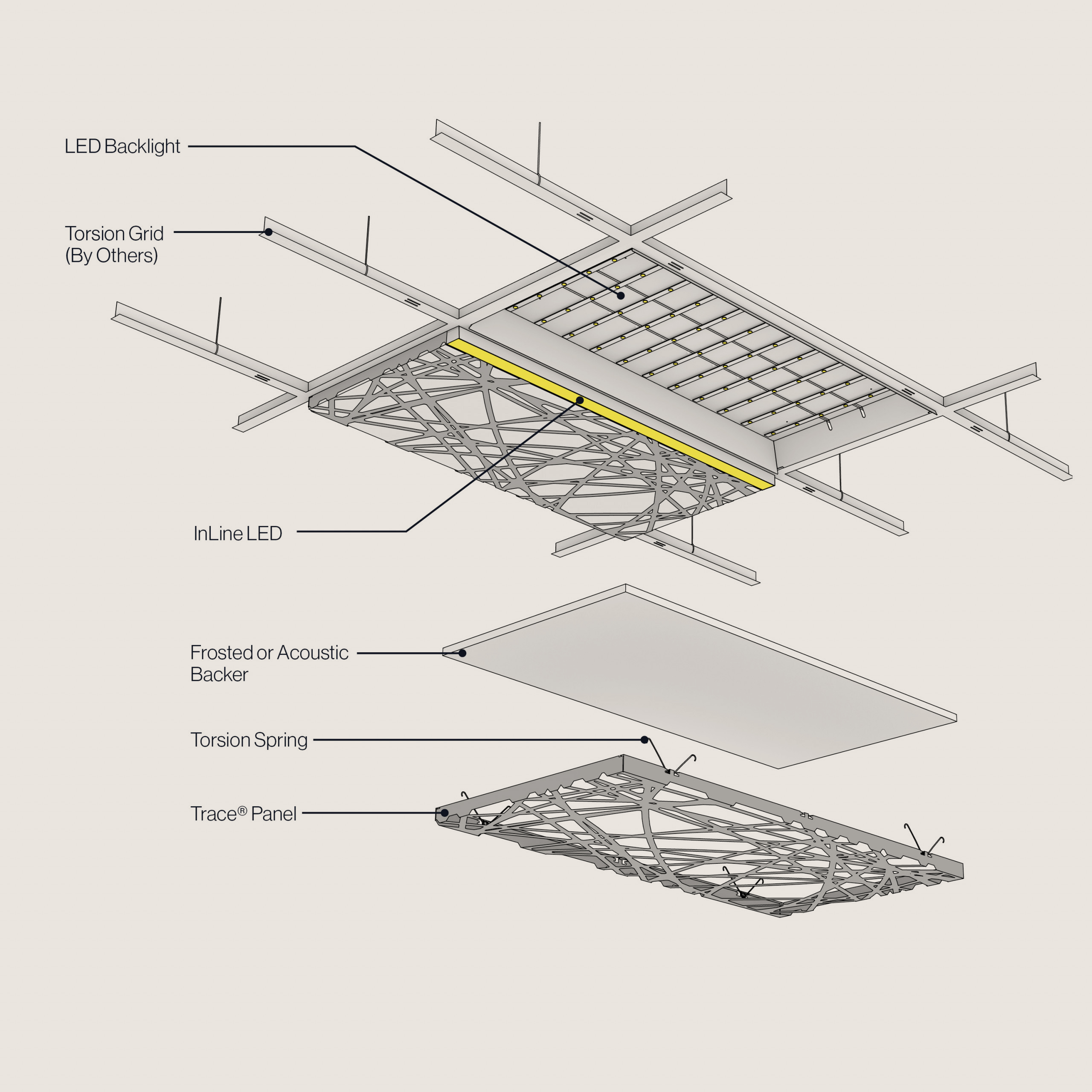 Trace® CURVED – NOWN